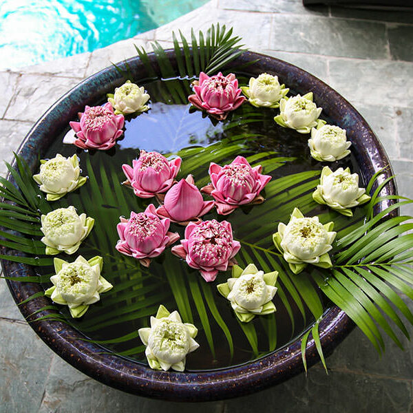 Rambutan Resort in Siem Reap and Phnom Penh - Gay Hotel Review