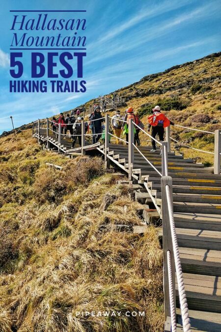The Best Hallasan Mountain Hiking Trails - Pipeaway