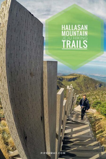 The Best Hallasan Mountain Hiking Trails - Pipeaway