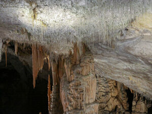 Postojna Cave Slovenia: Train Ride into a Dragon Lair