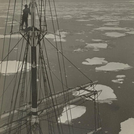 Exploring Antarctica: Penguins, Seals and Heroes Frozen in Time