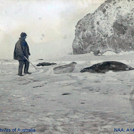 Exploring Antarctica: Penguins, Seals and Heroes Frozen in Time