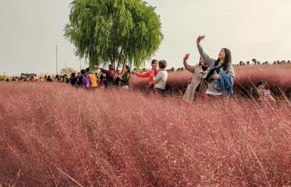 Haneul Park Seoul (PHOTOS): Sky Park Turned Trash to Treasure